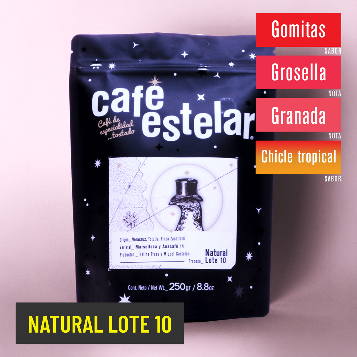 Café Veracruz - Finca Zacatlami - Marsellesa y Anacafé 14 - Natural Lo – Tienda Estelar