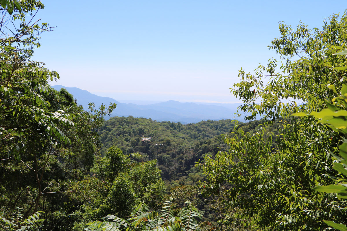 Finca Chelín – Tienda Estelar
